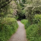 Brandon Marsh Nature Reserve Circular, West Midlands, England - 12 ...