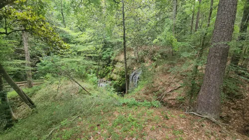 Best Hikes and Trails in Falling Waters State Park | AllTrails