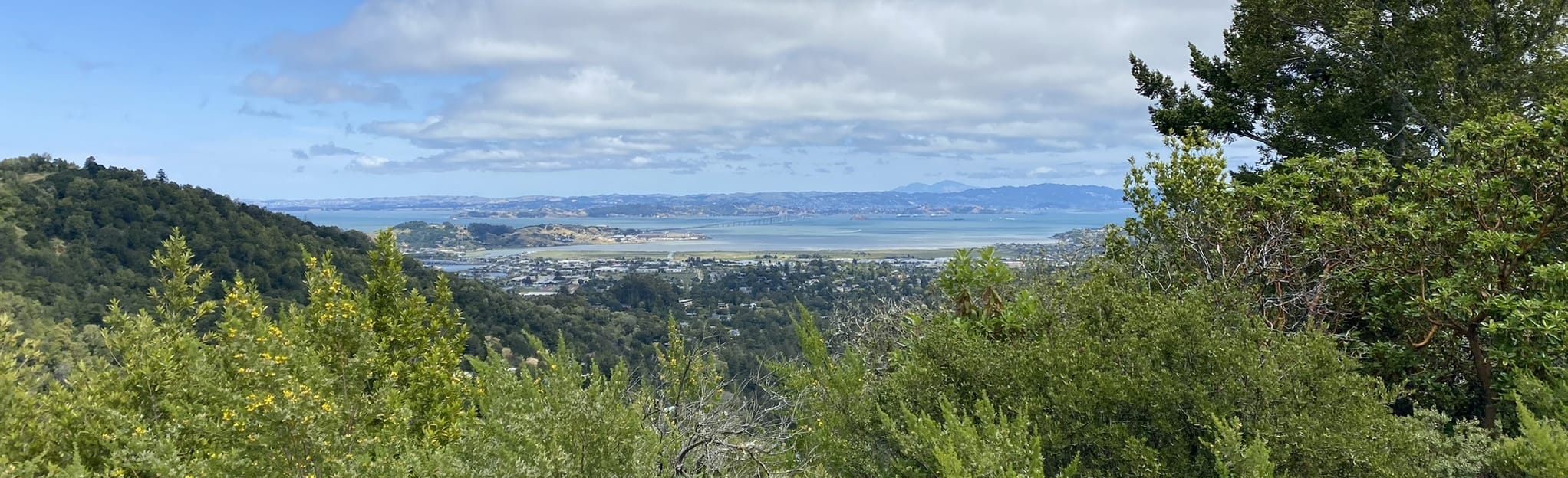 Baltimore Canyon to Corte Madera Trail: 66 Reviews, Map - California ...