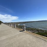 Bay Farm Island Loop Trail, California - 1,183 Reviews, Map | AllTrails