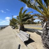 Bay Farm Island Loop Trail, California - 1,183 Reviews, Map | AllTrails