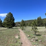 Sandys Canyon Trail, Arizona - 1,198 Reviews, Map | AllTrails