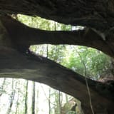 Natural Bridge Park Loop, Alabama - 302 Reviews, Map | AllTrails