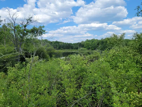 2023 Best Easy Trails in Lime Hollow Nature Center | AllTrails