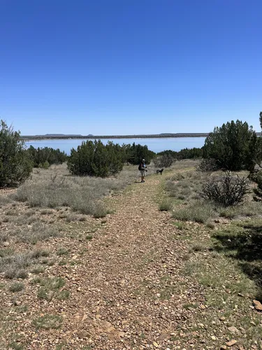 Best Walking Trails in Santa Rosa | AllTrails