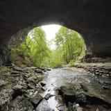 Buggytop Trail to Lost Cove Cave, Tennessee - 681 Reviews, Map | AllTrails