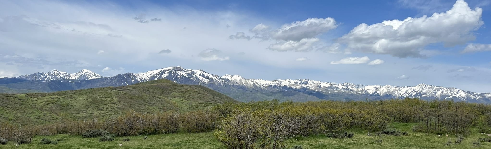 Peak 8193 via Big Hollow, Utah - 7 Reviews, Map | AllTrails