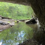 Bennett Spring Natural Tunnel Trail, Missouri - 720 Reviews, Map ...