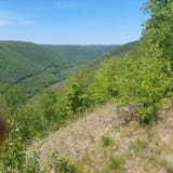 Black Forest North Loop Trail, Pennsylvania - 300 Reviews, Map | AllTrails
