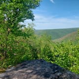 Black Forest North Loop Trail, Pennsylvania - 300 Reviews, Map | AllTrails