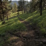 Round Mountain from South Trailhead, Oregon - 34 Reviews, Map | AllTrails