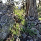 Round Mountain from South Trailhead, Oregon - 34 Reviews, Map | AllTrails