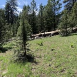 Round Mountain from South Trailhead, Oregon - 34 Reviews, Map | AllTrails