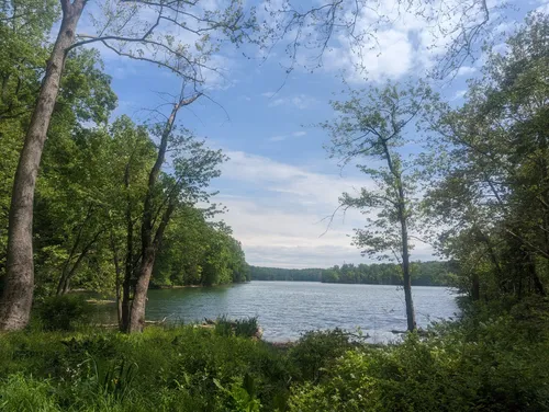 10 Best Hikes and Trails in Loch Raven Reservoir | AllTrails