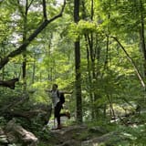 Cedar Run Falls Trail, Virginia - 465 Reviews, Map | AllTrails
