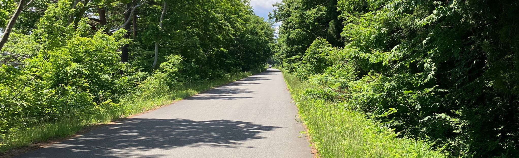 Lake Ogawara Loop: 24 foto's - Aomori, Japan | Wandelen - AllTrails