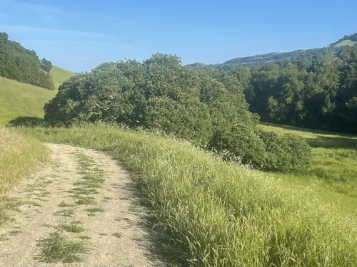 10 Best Trails and Hikes in San Ramon | AllTrails