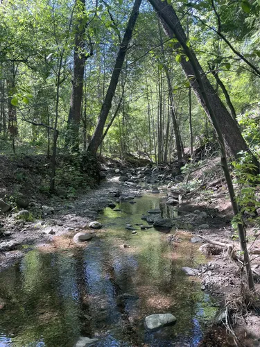 Best Views Trails in Blue Range Primitive Area | AllTrails