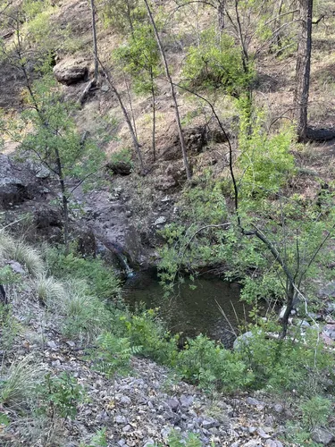 Best Hard Trails in Blue Range Primitive Area | AllTrails