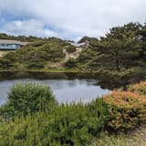 Salishan Spit Trail, Oregon - 305 Reviews, Map | AllTrails