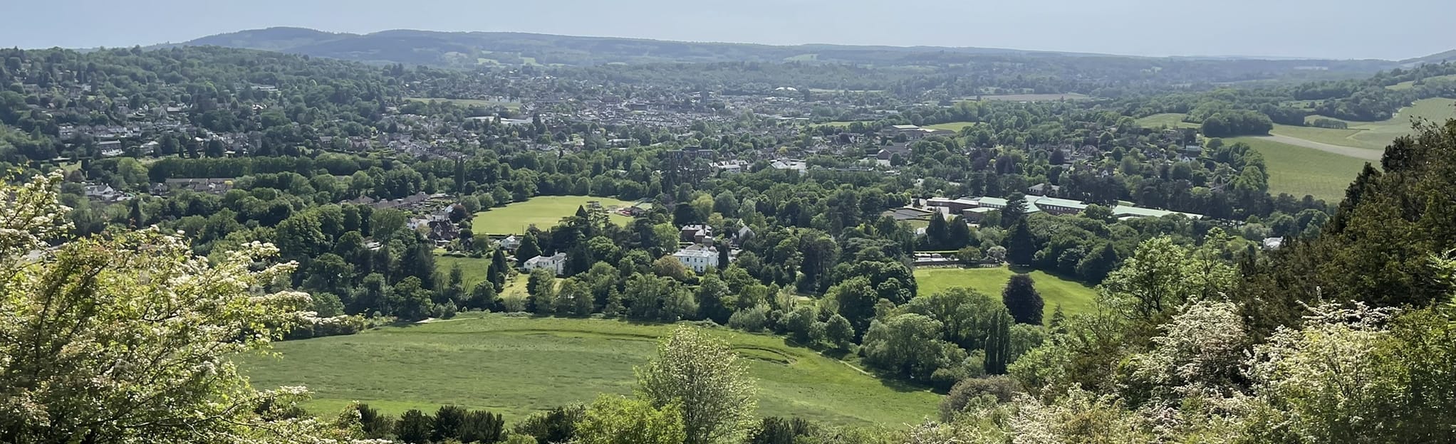 Box Hill, Juniper Hill and Ashcombe Wood Circular: 1.820 foto's ...