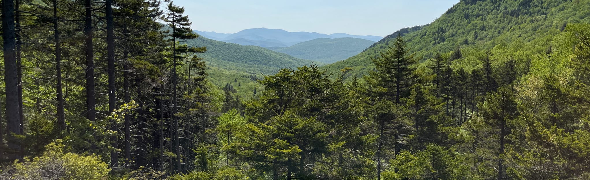 Lost River Gorge Trail: 238 Reviews, Map - New Hampshire | AllTrails