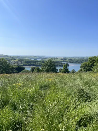 10 Best River Trails in South Devon National Landscape (AONB) | AllTrails