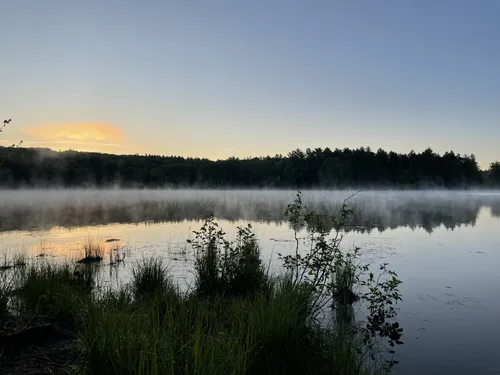 Best Hikes and Trails in Pigeon River Country State Forest | AllTrails