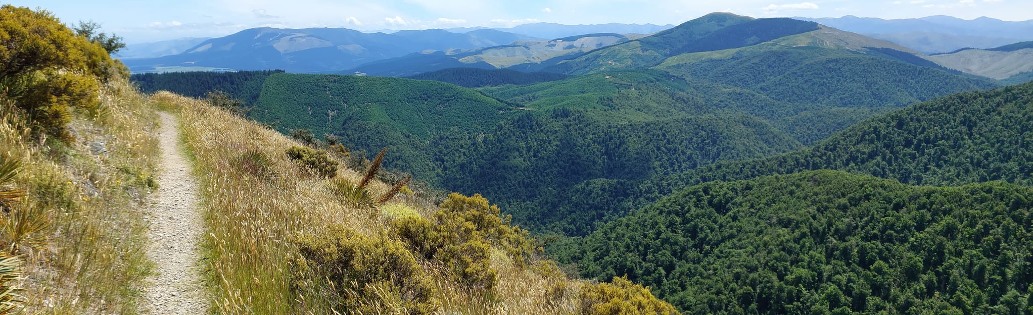 Mount Grey / Maukatere Loop, Canterbury, New Zealand - 16 Reviews, Map ...