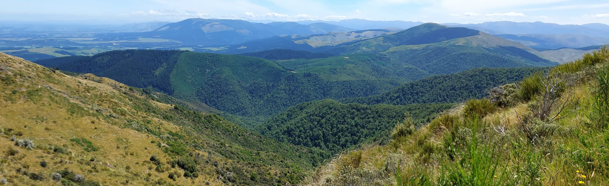 Mount Grey Track, Canterbury, New Zealand - 28 Reviews, Map | AllTrails