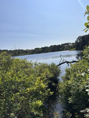 Best Hikes and Trails in Wiley Park | AllTrails