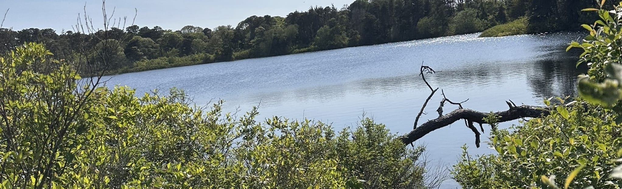 Great Pond Loop, Massachusetts - 196 Reviews, Map | AllTrails