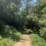 Stream, East Ridge, and Canyon Loop, California - 1,625 Reviews, Map ...