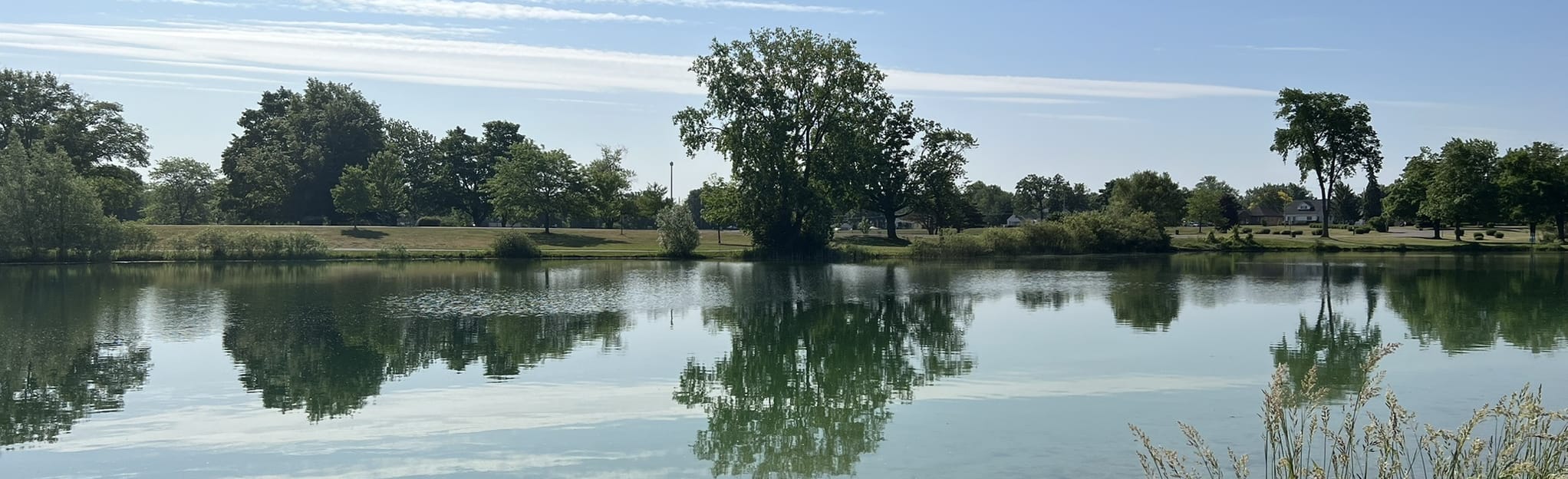 Lamar Park Pond Loop: 26 Reviews, Map - Michigan | AllTrails