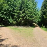 Kennedy Falls Trail , Washington - 775 Reviews, Map | AllTrails