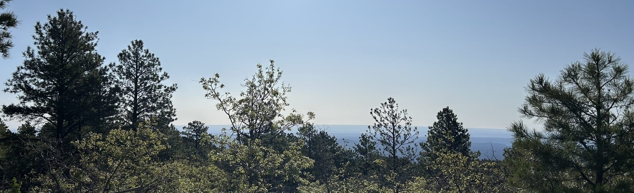 Mount Trumbull Trail: 9 Reviews, Map - Arizona | AllTrails