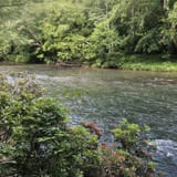 Cartecay River North Loop Trail, Georgia - 373 Reviews, Map | AllTrails