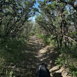 Kaysville East Mountain Wilderness Park Trail, Utah - 451 Reviews, Map ...