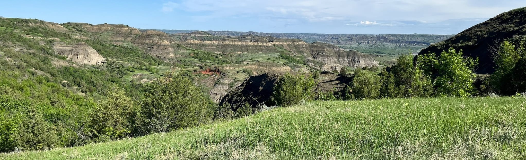 Little Missouri Loop, North Dakota - 17 Reviews, Map | AllTrails