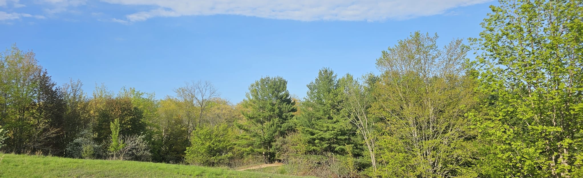 Meadow Loop and Copper Ridge Trail, Michigan - 449 Reviews, Map | AllTrails
