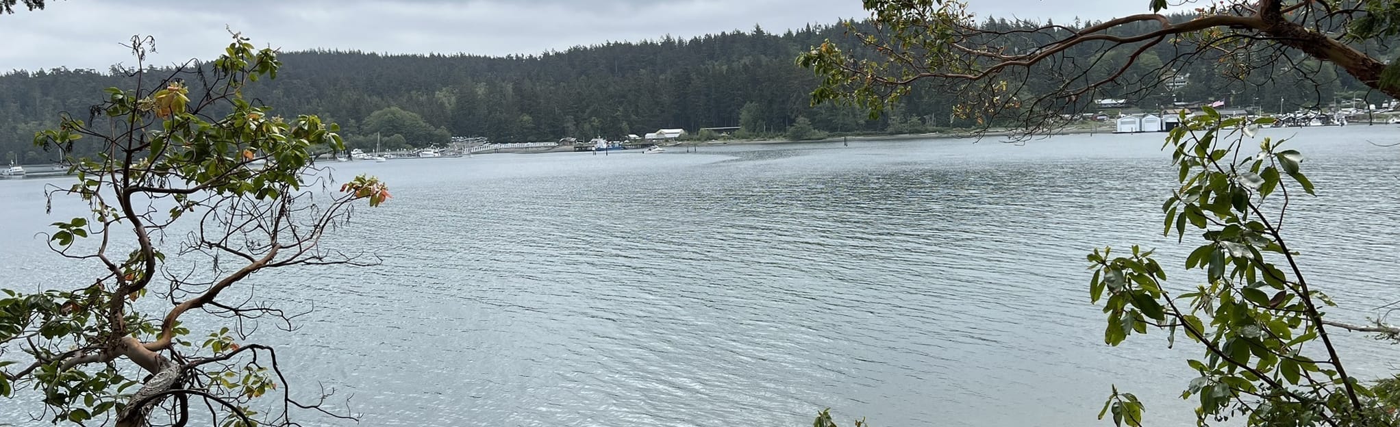 Goose Rock Summit via Cranberry Lake Trail and North Beach Trail ...