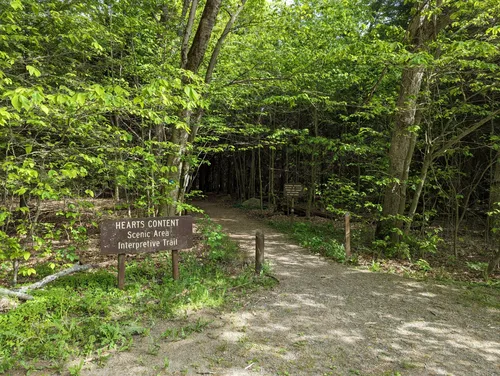 Best Forest Trails in Tidioute | AllTrails