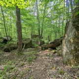 Tanbark Trail, Pennsylvania - 141 Reviews, Map | AllTrails