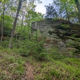 Tanbark Trail, Pennsylvania - 141 Reviews, Map | AllTrails
