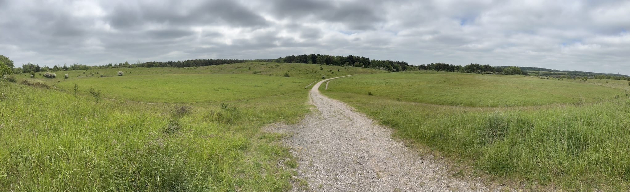 Cannock Chase: 42 Reviews, Map - Staffordshire, England | AllTrails