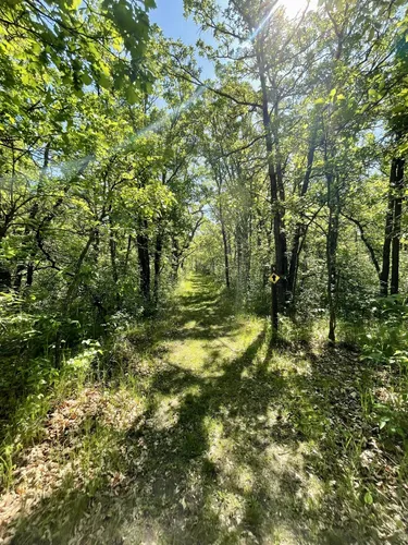 Best Hikes and Trails in St. Malo Provincial Park | AllTrails