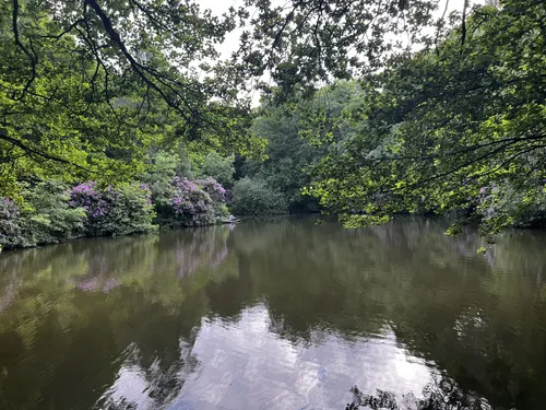 10 Best Trails, Walks, and Paths in Doncaster | AllTrails