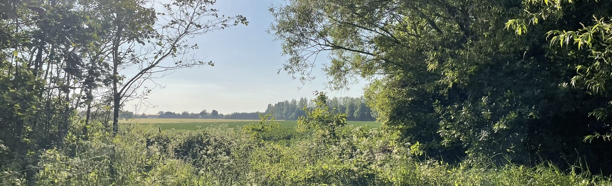 Culcheth and Newchurch Circular: 10 Reviews, Map - Greater Manchester ...