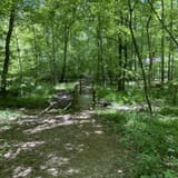 Boone Trace Trail, Kentucky - 60 Reviews, Map | AllTrails