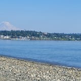Marine View Park Loop Trail, Washington - 446 Reviews, Map | AllTrails